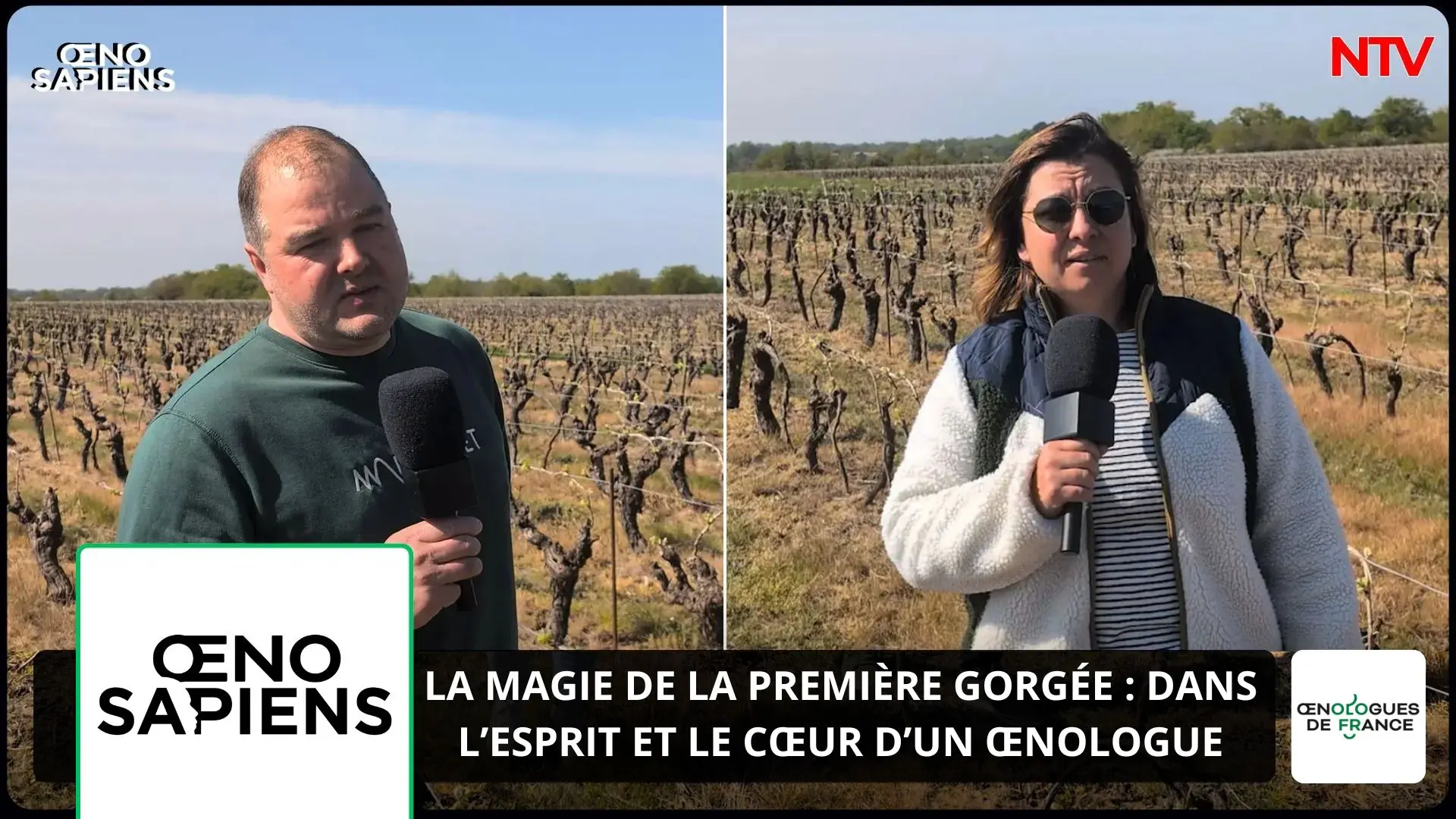 La Magie de la Première Gorgée : Dans l'Esprit et le Cœur d’un Œnologue ...